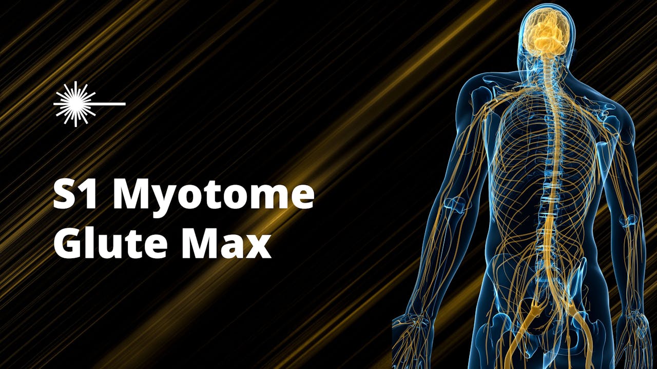 S1 Glute Max - Myotome Testing - Performancepractic TV