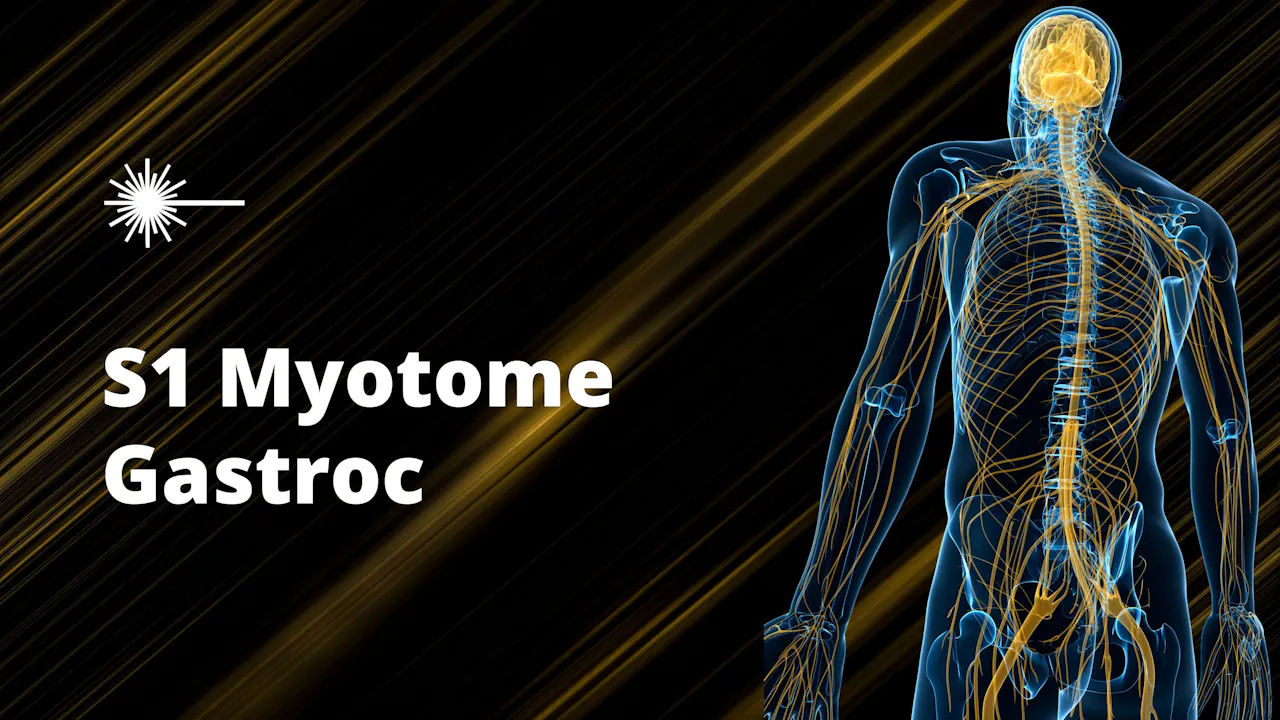 S1 Mytome Gastroc - Myotome Testing - Performancepractic TV