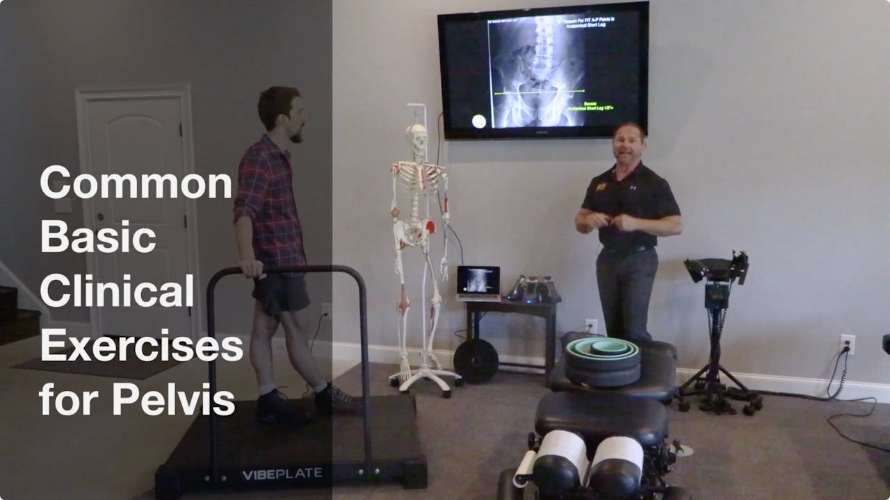 Common Basic Clinical Exercises for Pelvis - Performancepractic TV