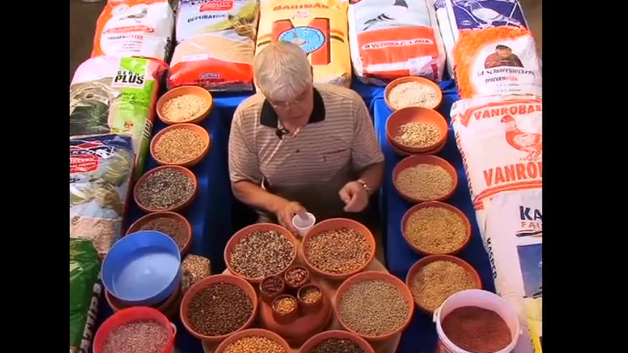 SOC Feeding - Chapter 5 - Complete Tour of Pigeon Feeds - Jim Jenner ...