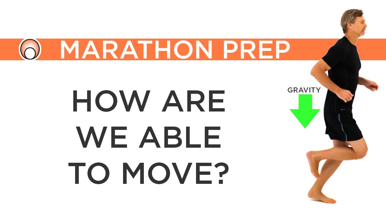 How are we able to Move? - Pose Method