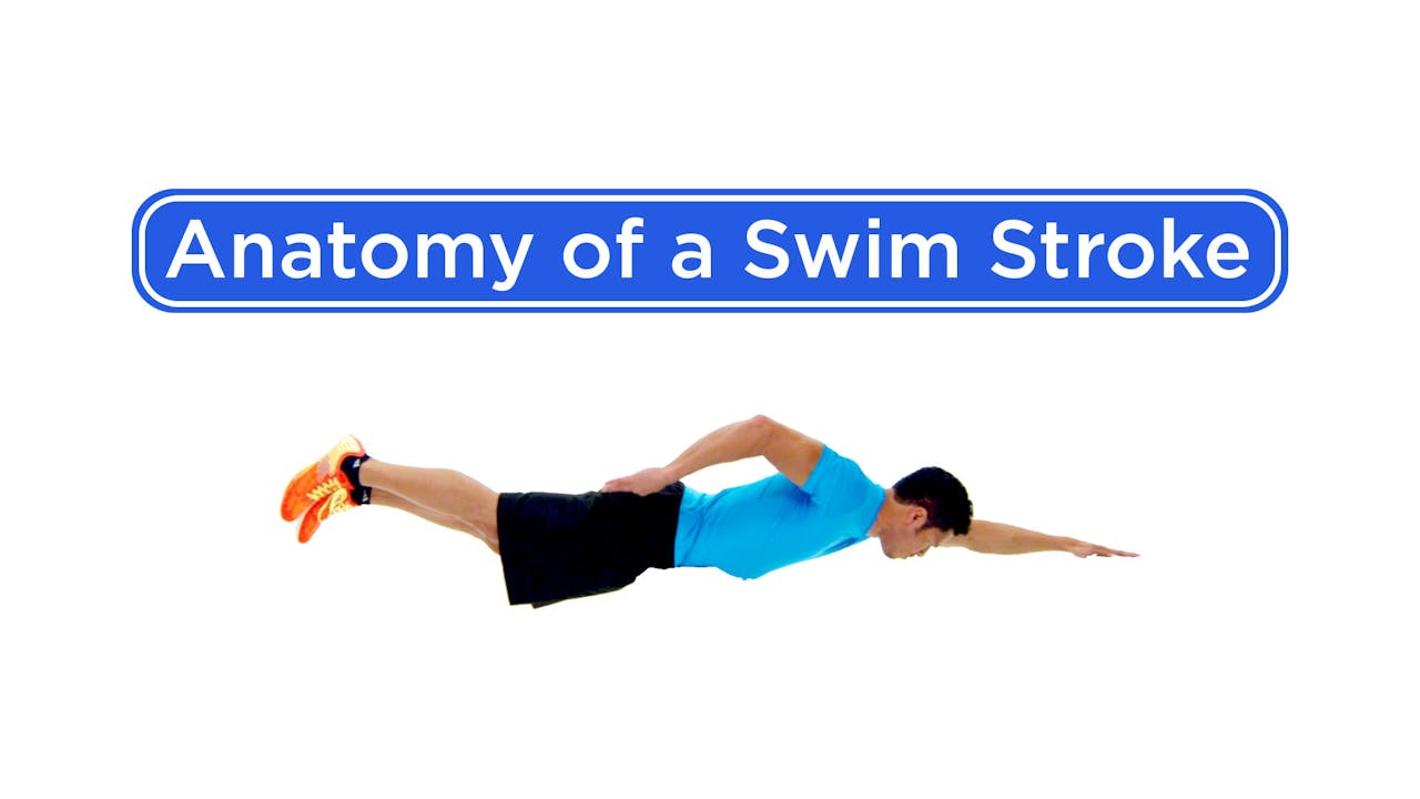 Anatomy of a Swim Stroke - Pose Method