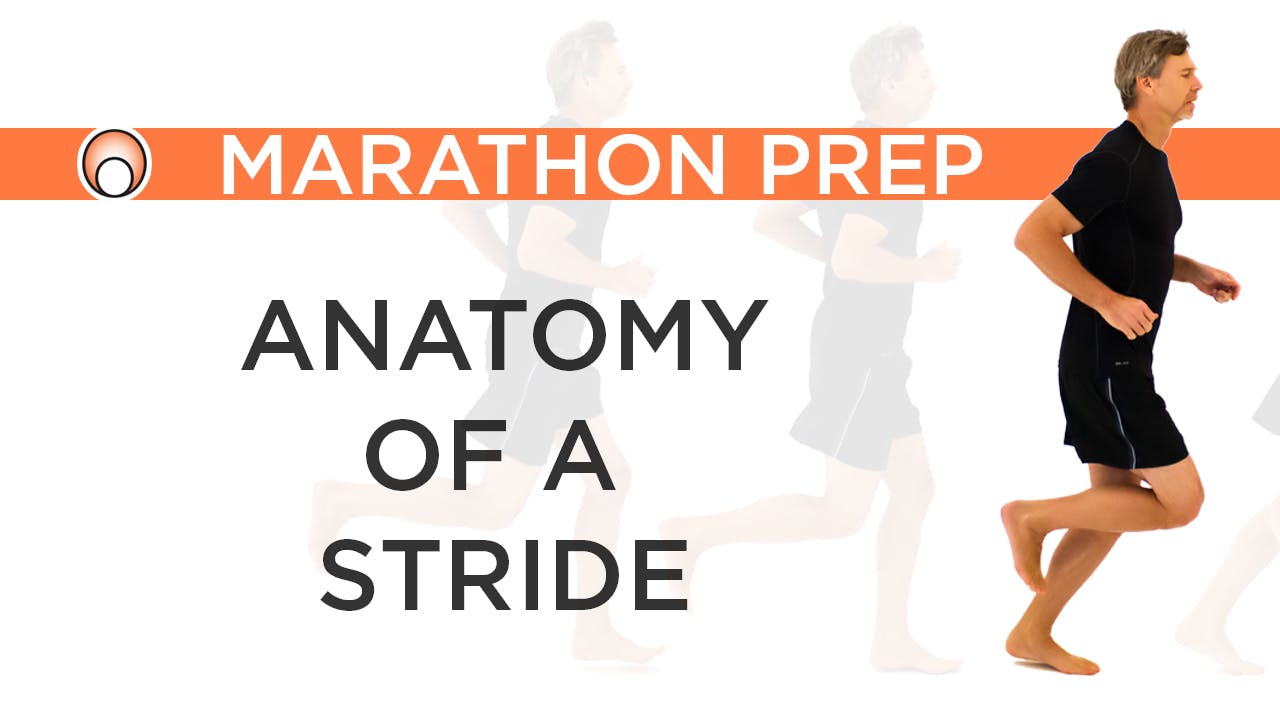 Anatomy of a Stride - Pose Method
