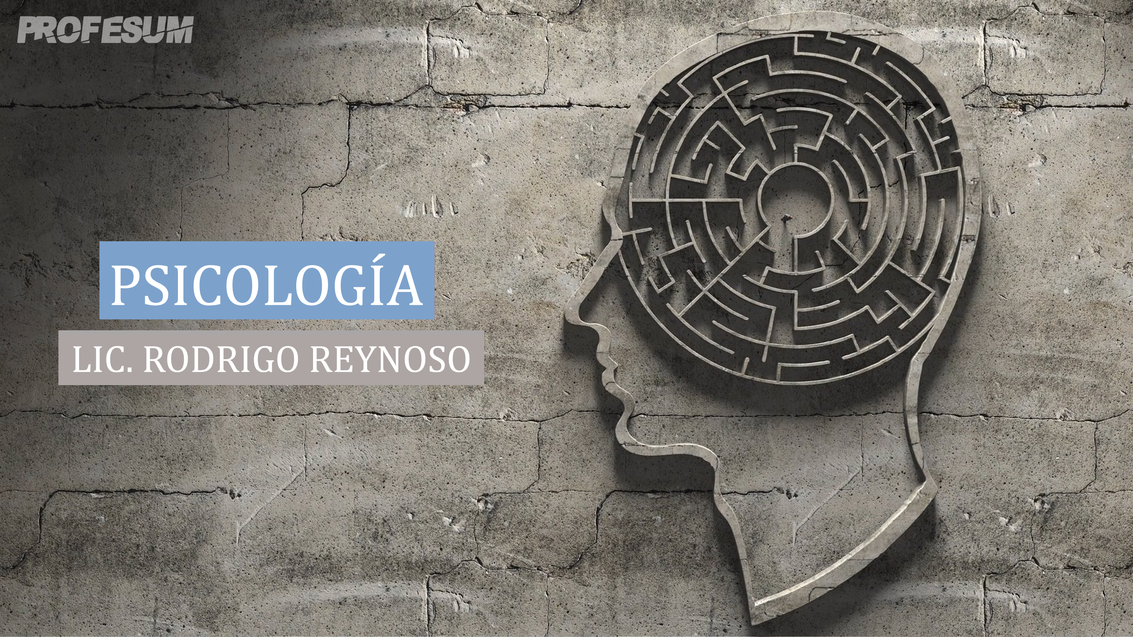 Psicología - Lic. Rodrigo Reynoso - PROFESUM