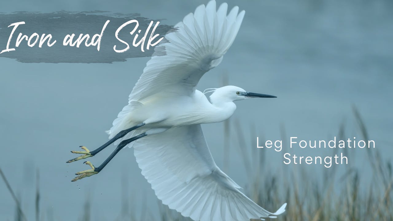 Iron and Silk - Leg Foundation Strength (12 mins) - Iron And Silk ...