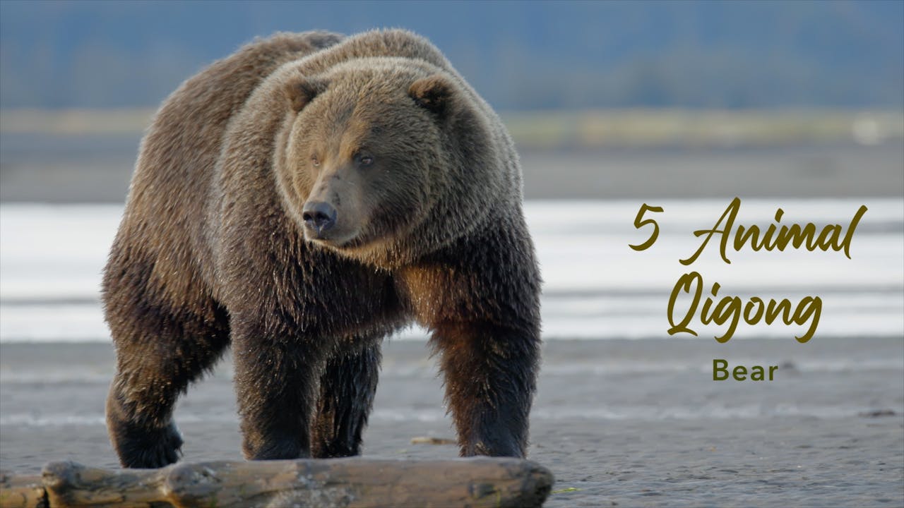 5 Animal Qigong - Bear - 5 Animal Qigong Mini Series - Qi Gong for Vitality