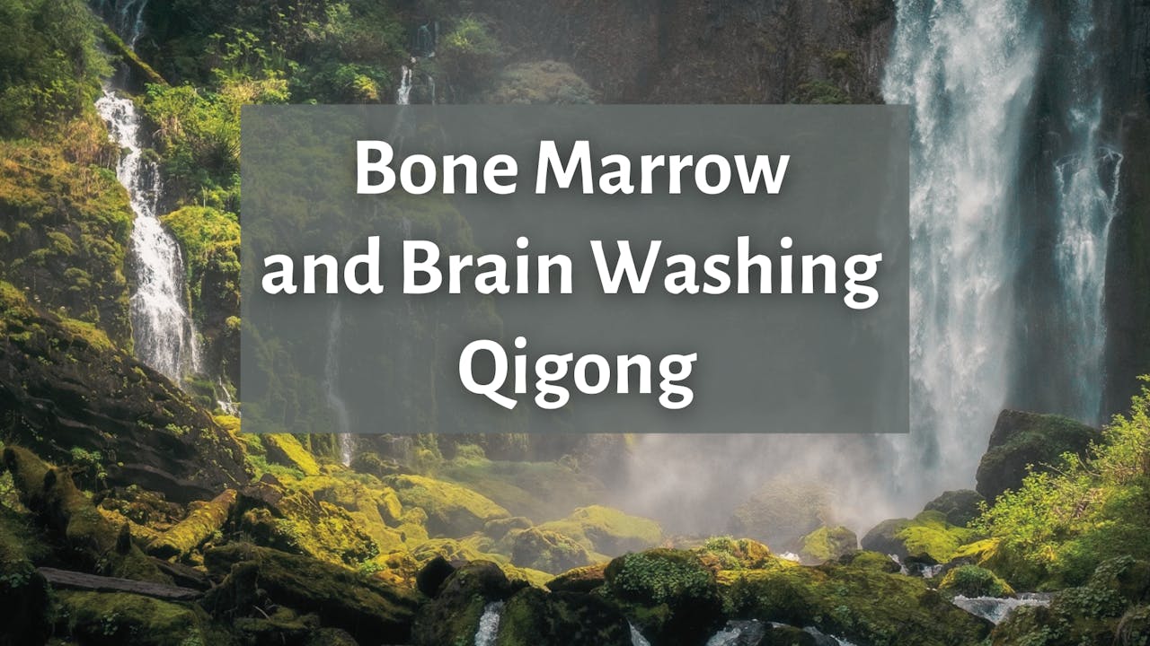 Bone Marrow and Brain Washing Qigong (20 mins) - Long Practices (all ...