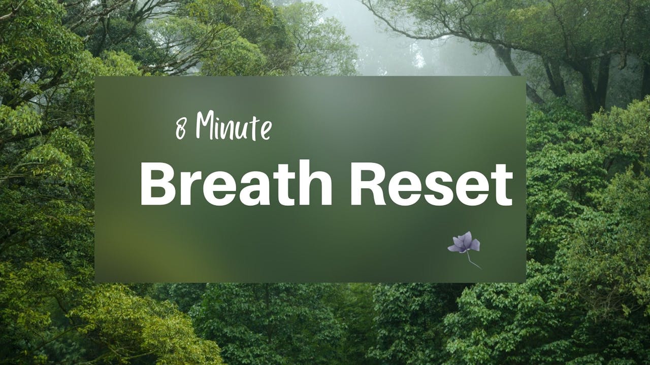 Breath Reset (8 min) - Short Practices (all routines under 15 mins) - Qi Gong for Vitality
