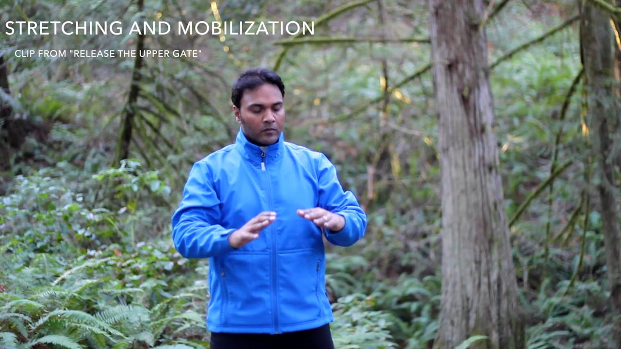 How Does Qigong Help Arthritis (5 mins) - Jeff on YouTube - Qi Gong for Vitality