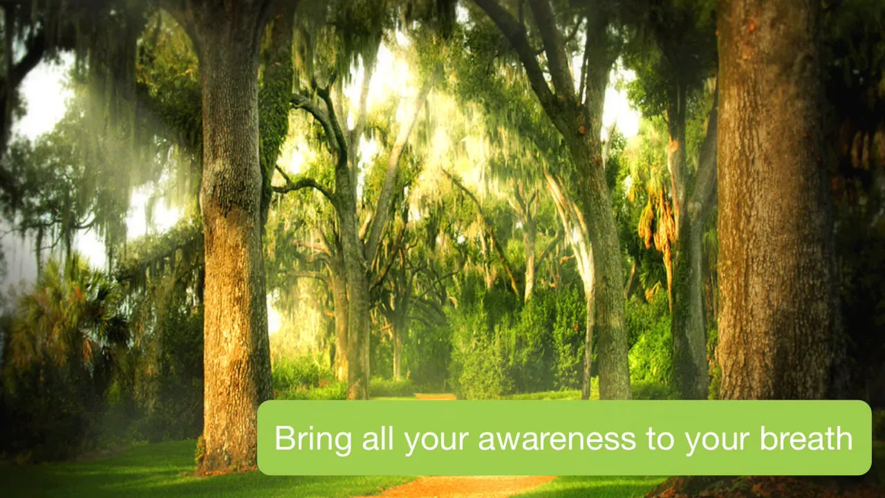 Day 1 Meditation - Observation of Breath (7 mins) - 10 Day Meditation ...
