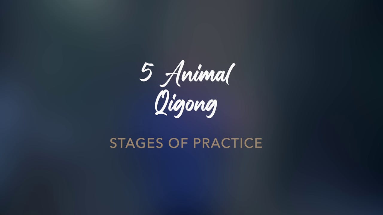 3 Stages of the 5 Animal Qigong - 5 Animal Qigong Mini Series - Qi Gong ...