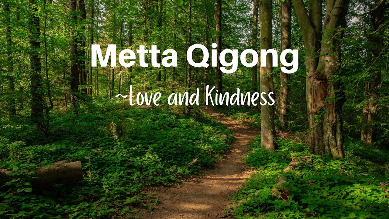 Metta Qigong Practice - Love and Kindness (15 mins) - Short Practices ...