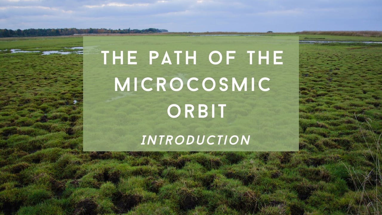 Microcosmic Orbit Routine Intro (5 mins) - Qigong Routine Introductions ...