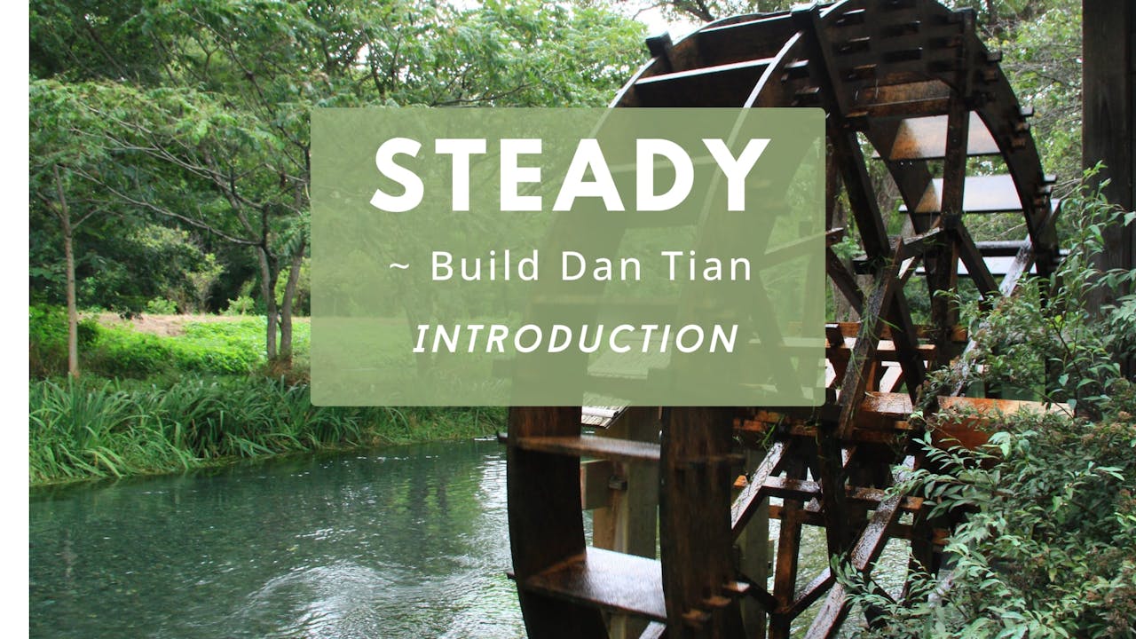 Steady Routine Intro - Qigong Routine Introductions - Qi Gong for Vitality