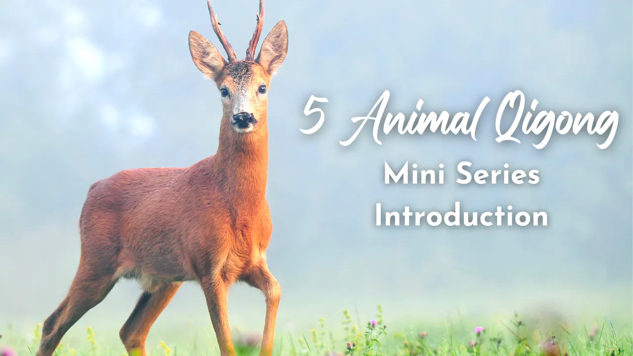 5 Animal Qigong Mini Series Introduction - 5 Animal Qigong Mini Series ...