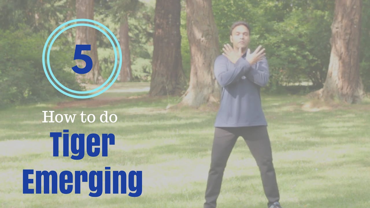 How to do 'Tiger Emerging' (5 mins) - Beginner Lesson - Qi Gong for ...