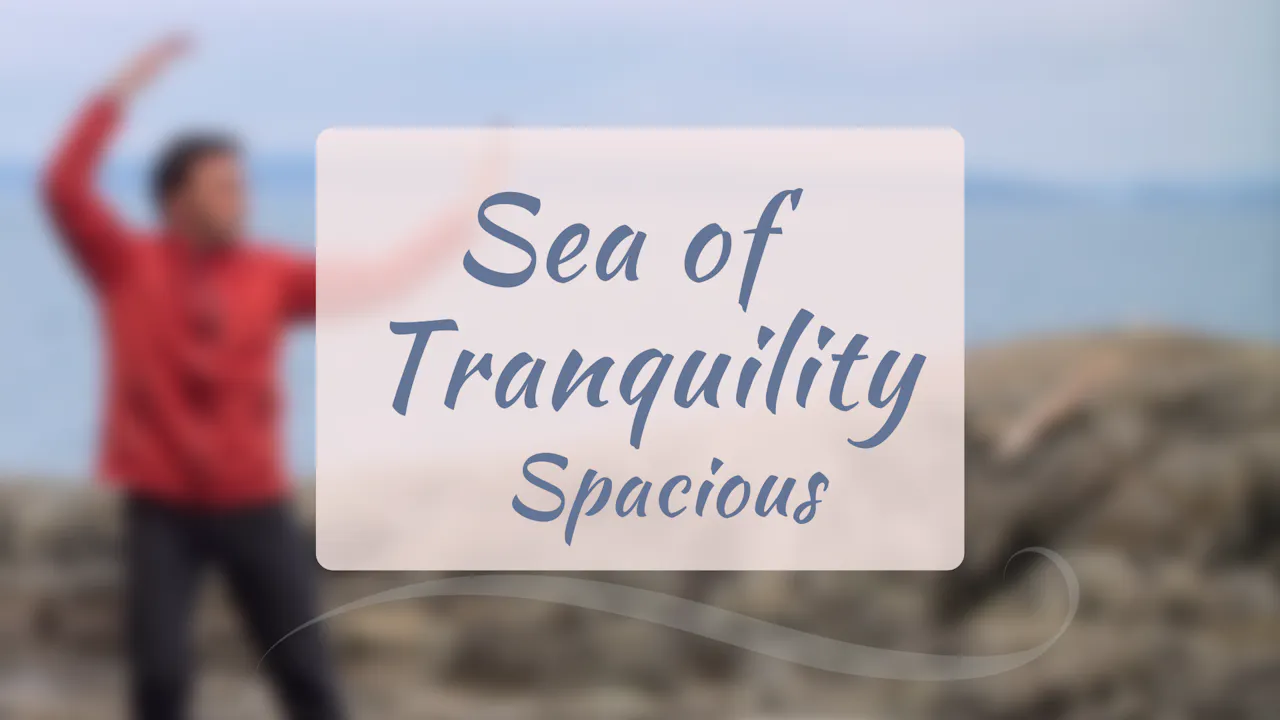 Sea of Tranquility Spacious (14 mins) - Spacious (silent or minimal ...