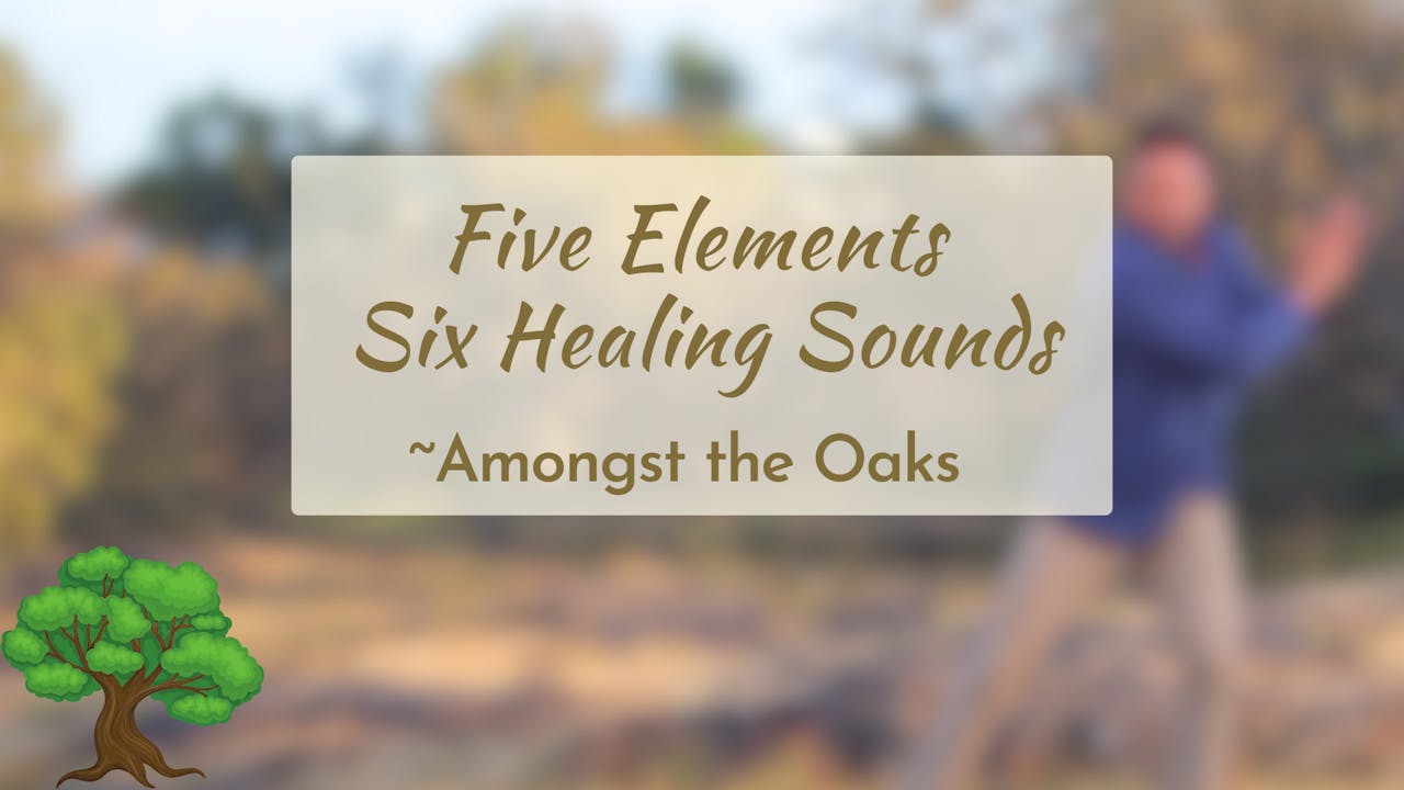 5 Elements, 6 Sounds Amongst the Oaks (38 mins) - Long Practices (all ...