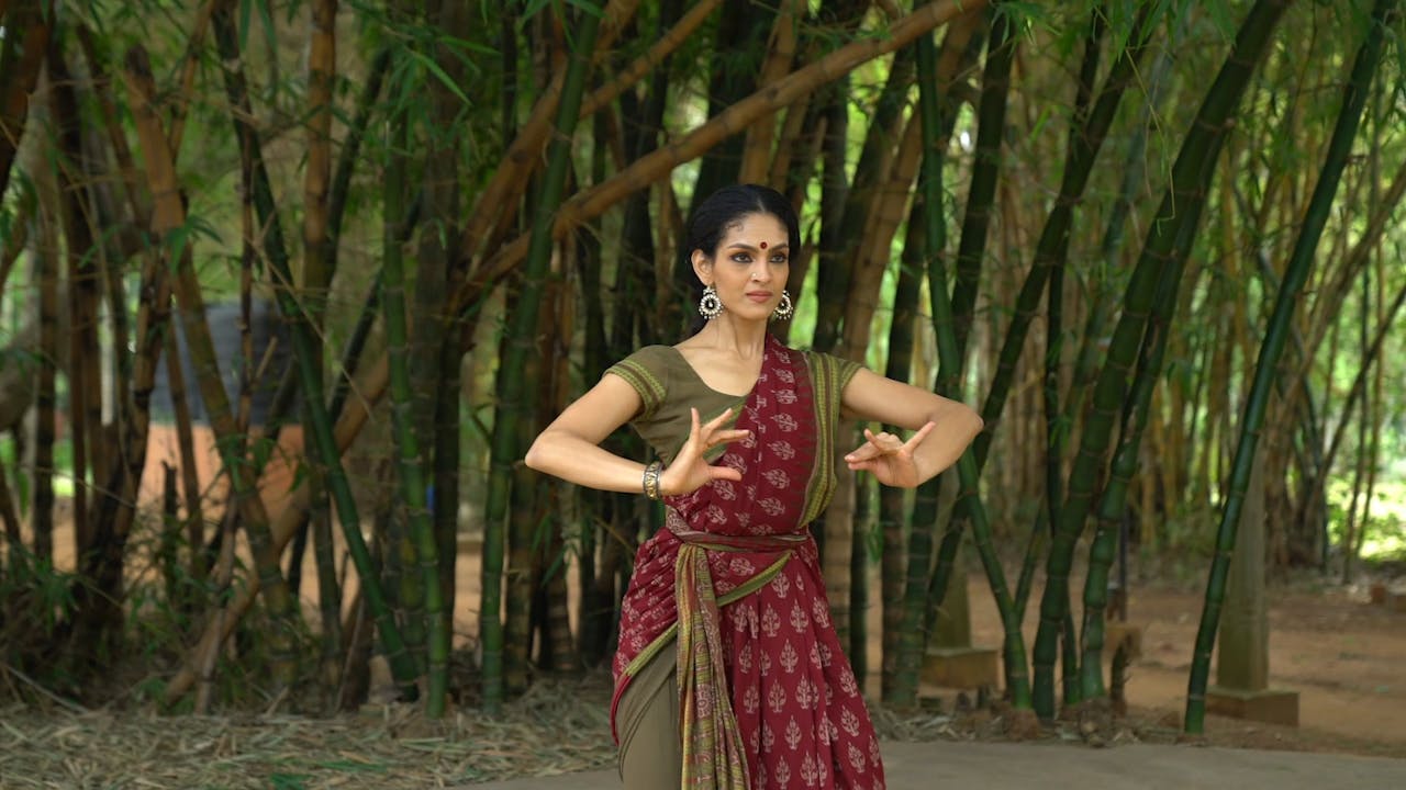 Pakkadavu 1 - Adavus: 1st Set - The Raadha Kalpa Method