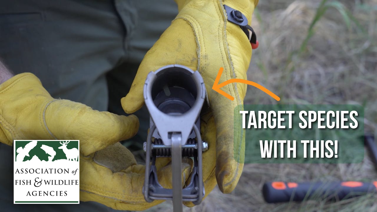 How to Make Selective Sets with Foothold Traps - Trapping Instruction ...