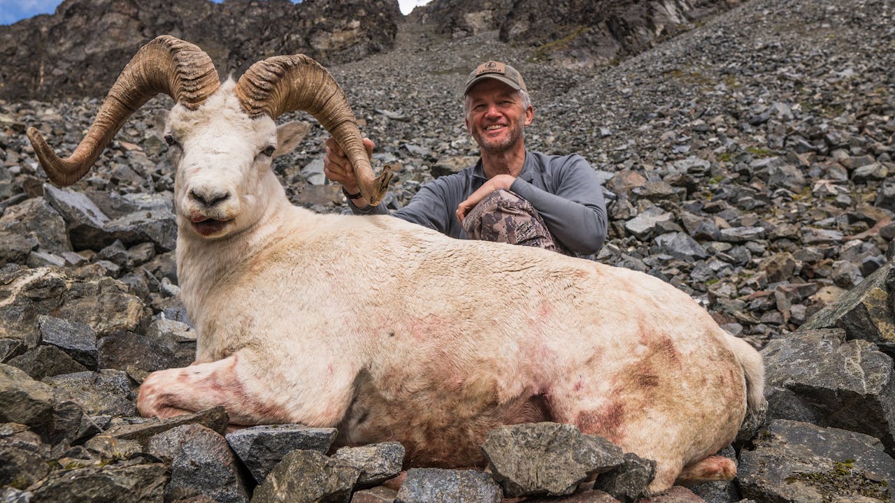 Alaska Dall Sheep - A 40 Year Dream - Fresh Tracks+