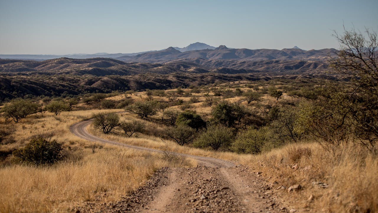 Southern Arizona Sonoran Safari - Fresh Tracks+