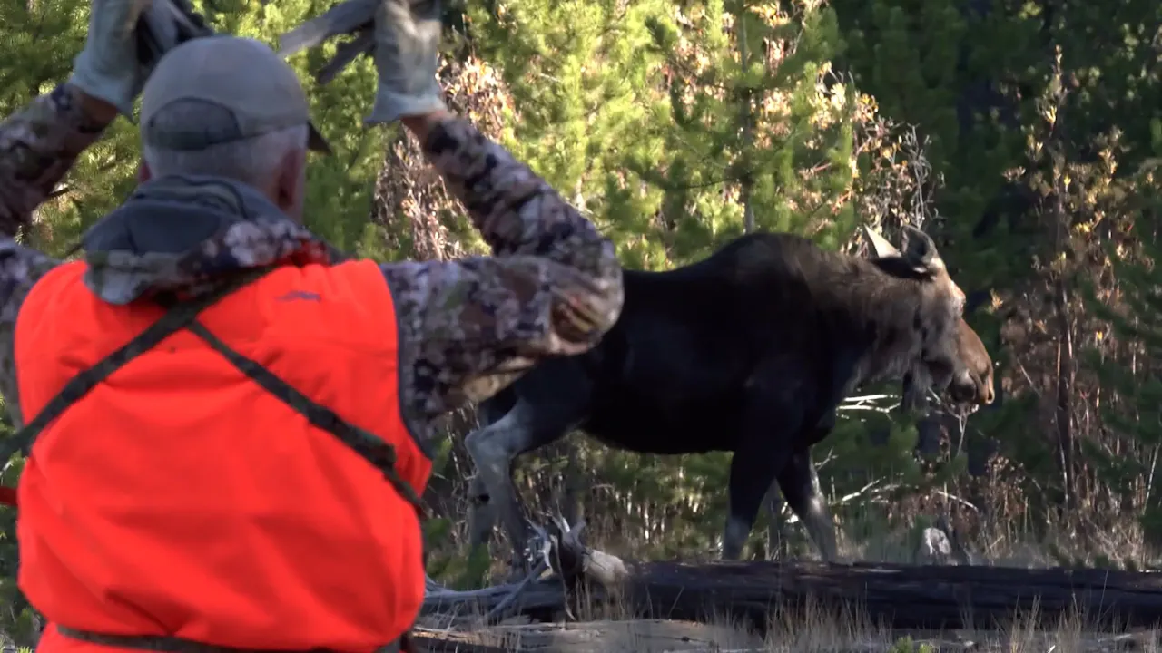 Montana Moose Series Trailer - Fresh Tracks+