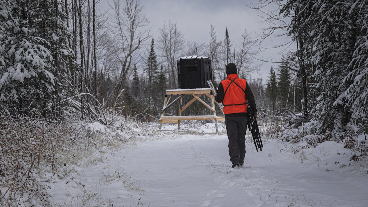 Back Home - Fresh Tracks - Season 11 - Fresh Tracks+