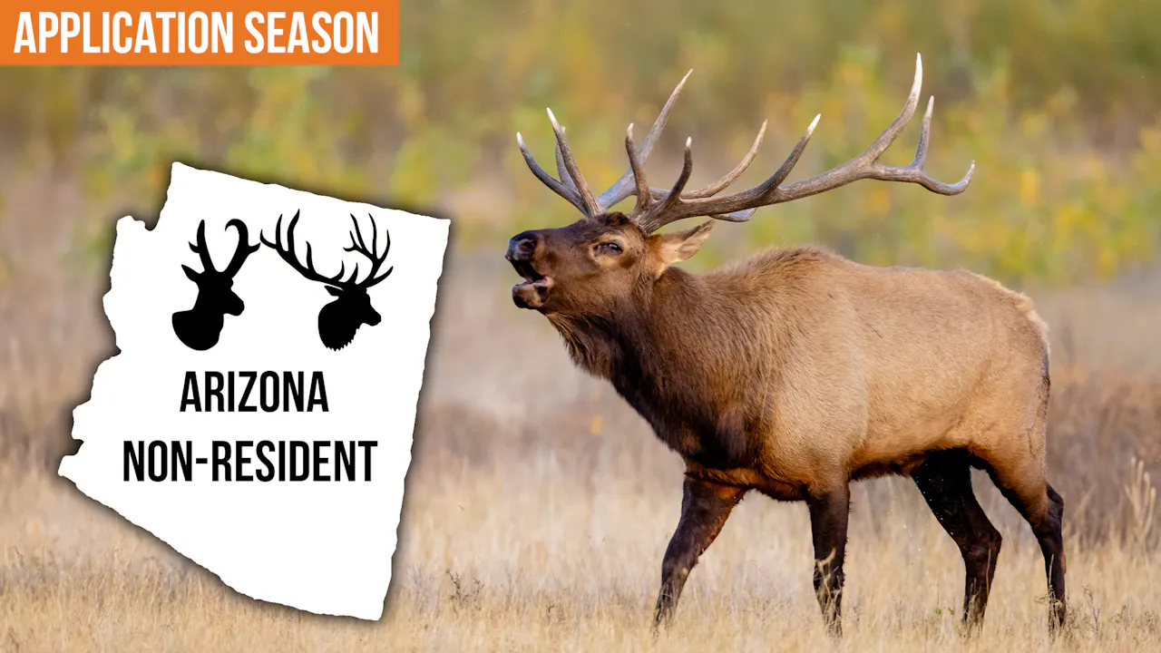How the Arizona Non Resident Big Game Draw Really Works - Fresh Tracks+