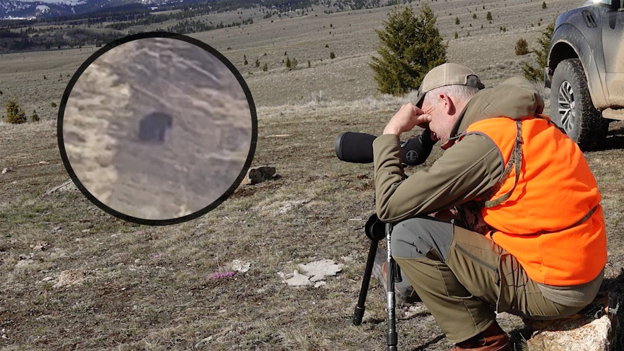 BRUIN SPOTTED! - 2022 Montana Bear Hunts - Fresh Tracks+