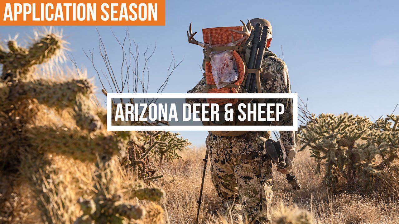 How to Apply for Arizona Deer & Sheep Hunts | Non-Resident Tag Guide ...
