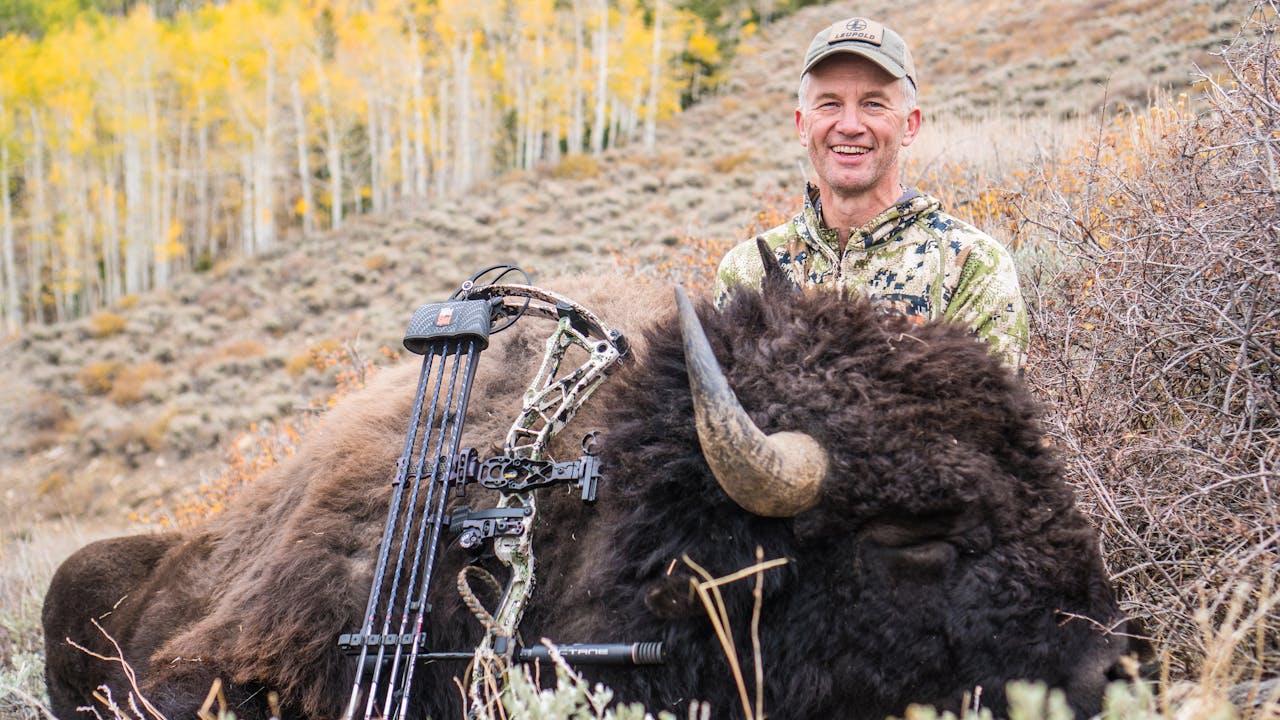 Utah Archery Bison - Fresh Tracks+