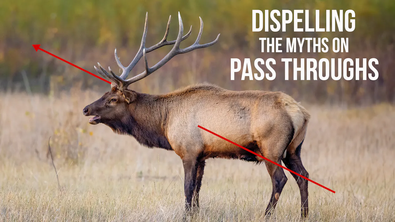 Myths on Pass Throughs | Bulls, Bullets and Ballistics - Bulls, Bullets ...