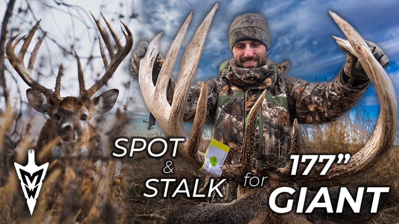 Giant 177-Inch Buck At 10 Yards From the Ground | Midwest Whitetail ...