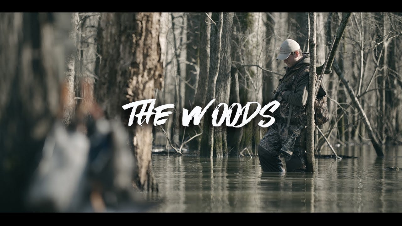 Dropping Mallards in Flooded Timber | They Can't Handle It | DayBreak ...