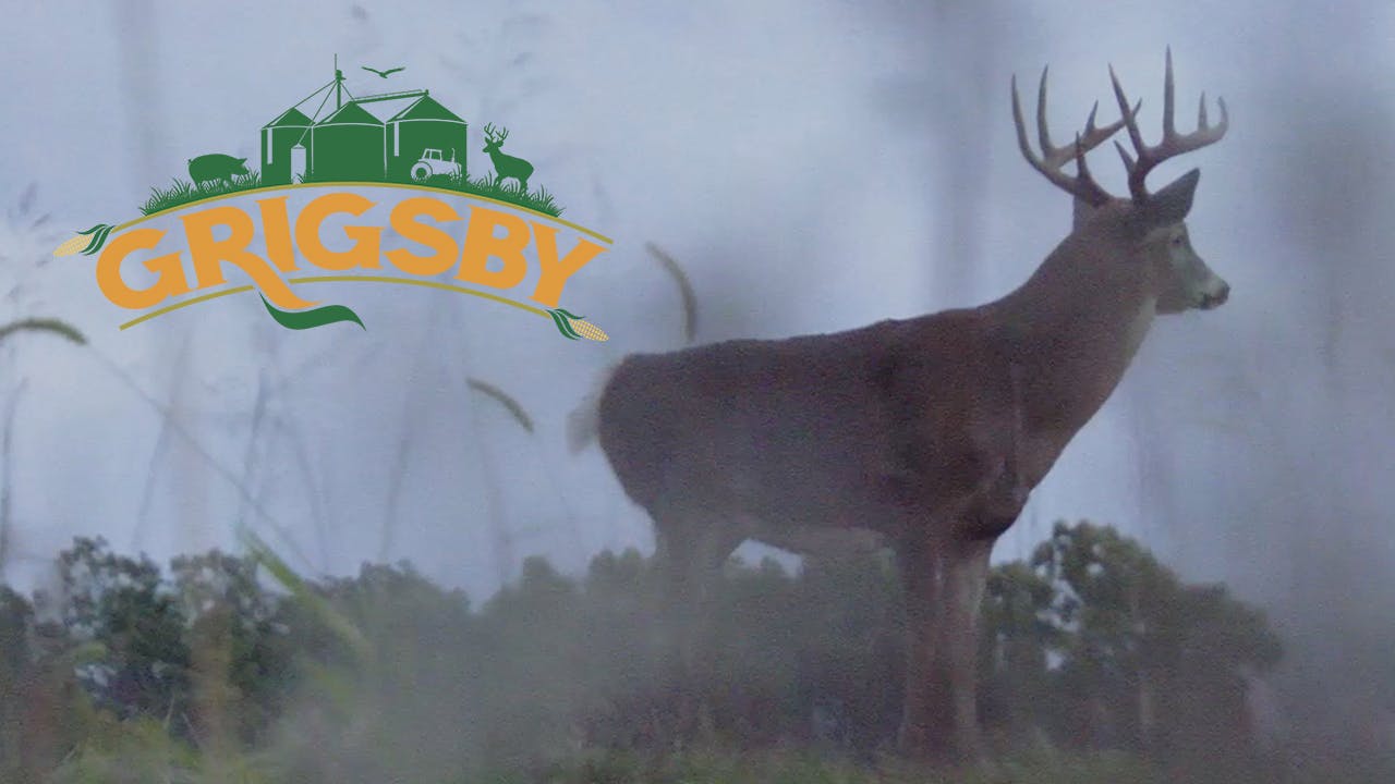 Big Bow Buck from the Ground | Tyler Jordan's Grigsby Deer | Grigsby ...