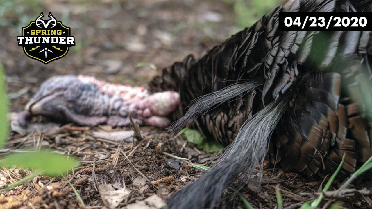 Culpepper Bags Flying Gobbler | Double-Bearded Turkey | Realtree Spring ...