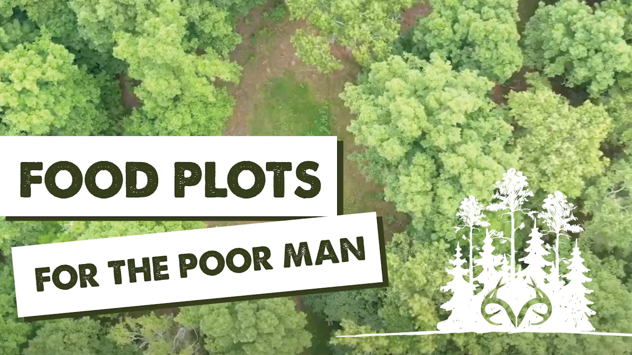 Creating Poor Man Food Plots | Pay Dirt - Pay Dirt 2019 - Realtree 365