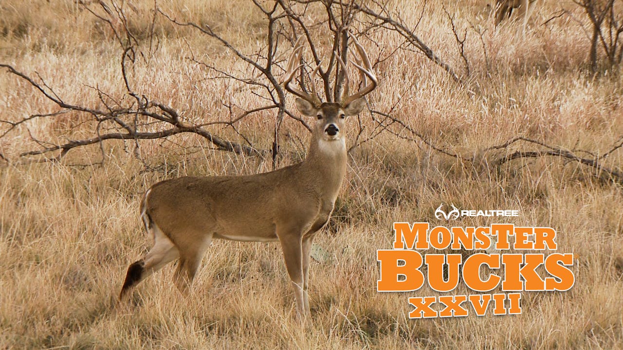 David Blanton's Central Texas Monster Buck - Realtree 365