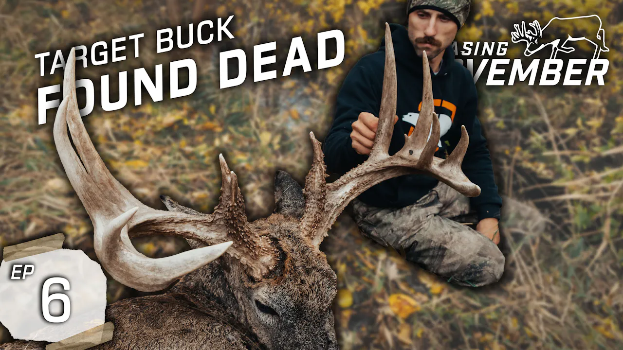 Kaleb's Monster Buck Chase Ends, Bucks Grunting & Chasing In October ...