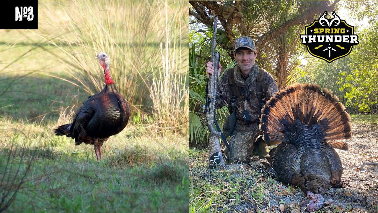 Culpepper Bags a Florida Gobbler | Osceola Longbeard Down | Spring ...