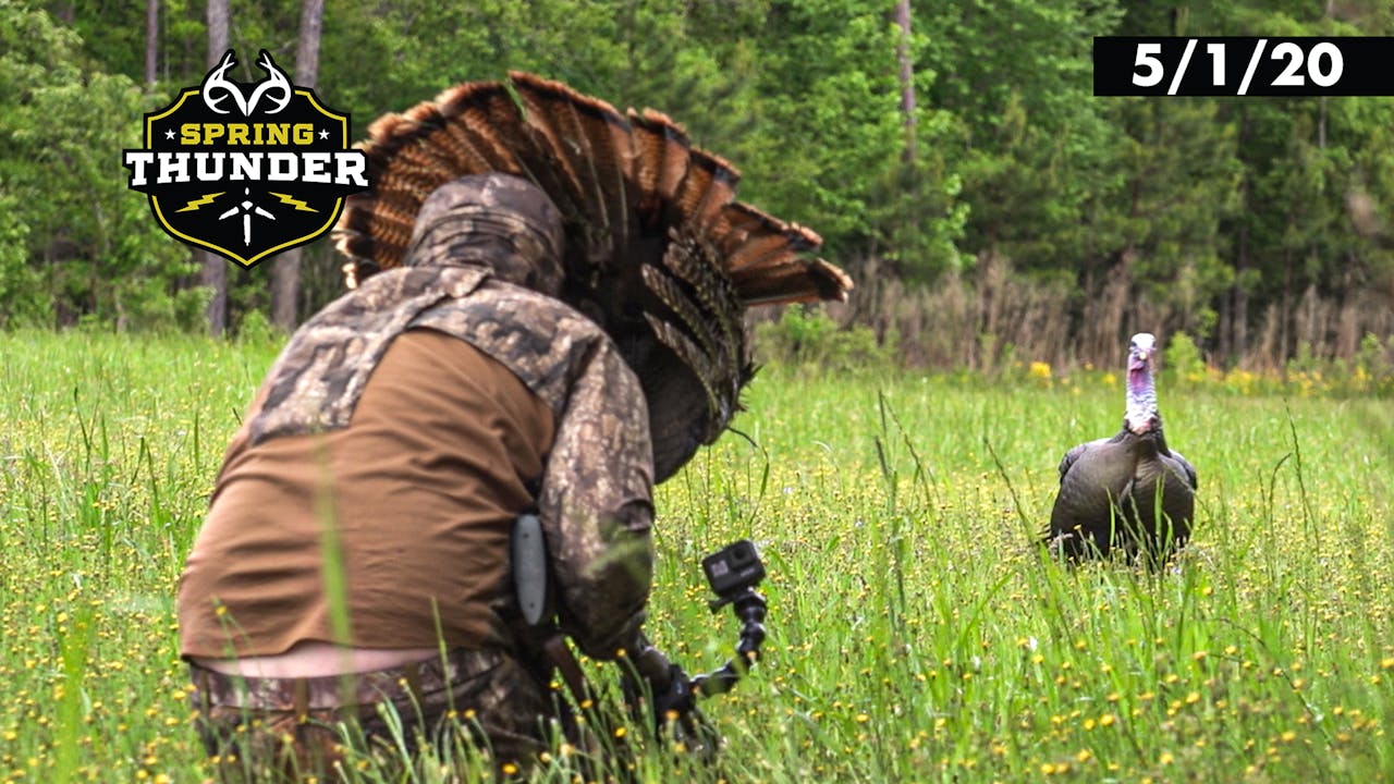 Fanning in Big Turkeys at 5 Steps - 2020 Season - Realtree 365