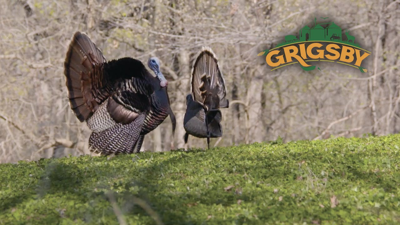 Turkey Hunting and Prepping Food Plots | Grigsby - Season 3 - Realtree 365