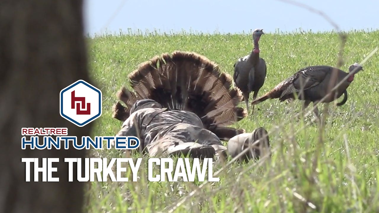 Huge Iowa Gobblers | Heaviest Turkeys in the Country? | Hunt United ...