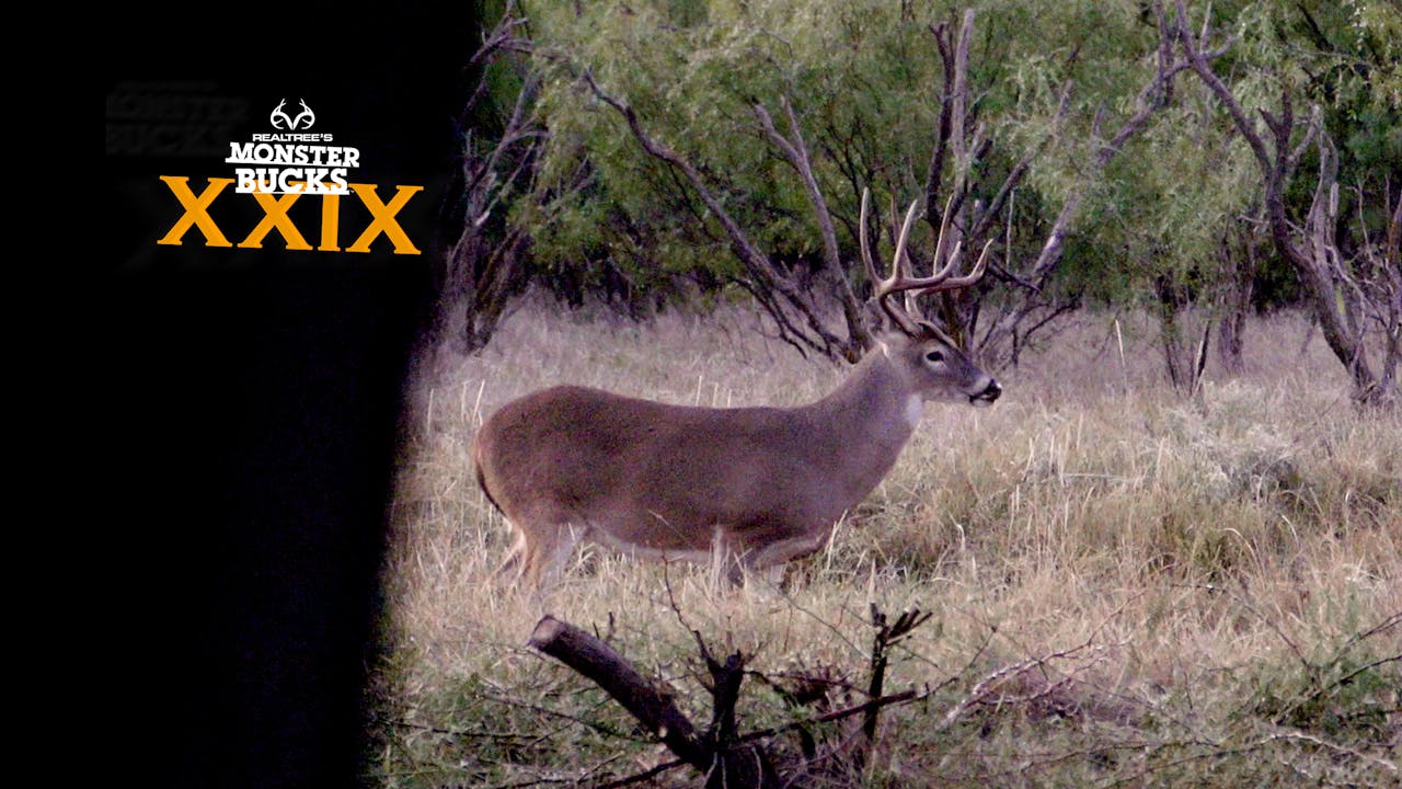 Kip Campbell's Monster Texas Buck | Monster Bucks 2021 - Monster Bucks ...
