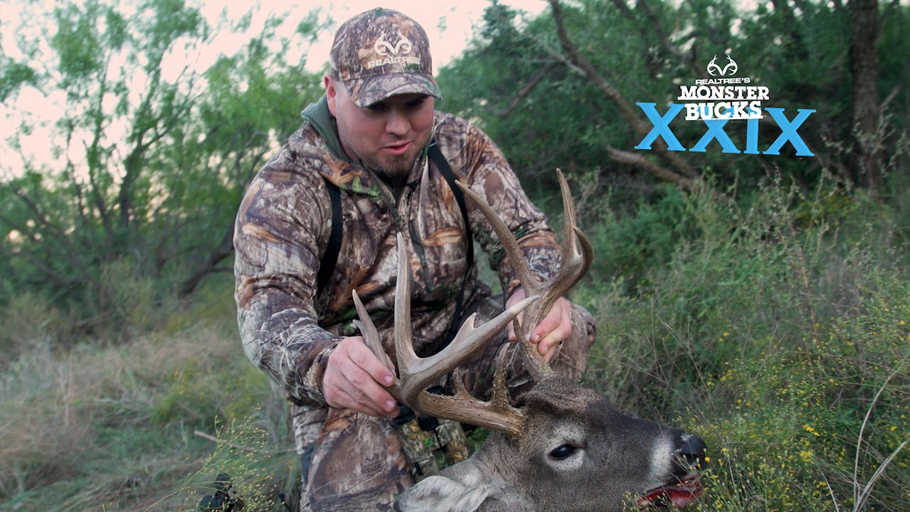 Stephen McNelly's Texas Toad | Monster Bucks 2021 - Monster Bucks XXIX ...