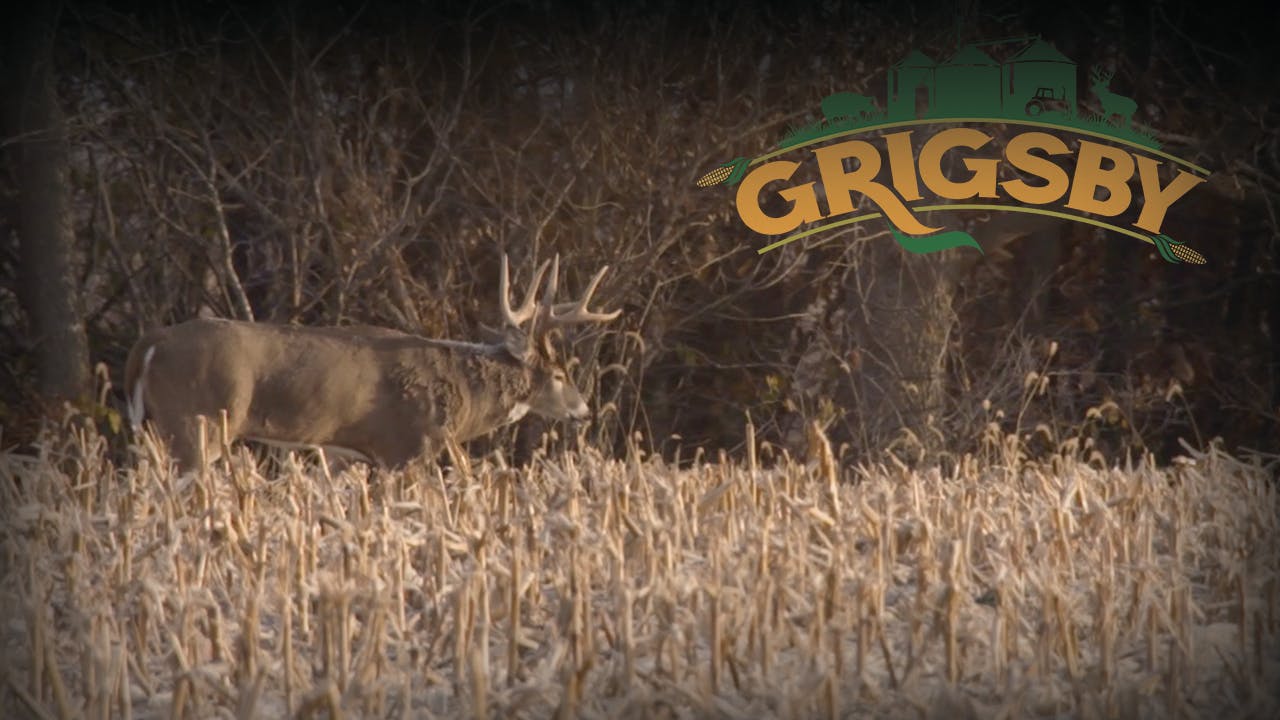 Shotgun Season Has Arrived | The Rut is Rocking | Grigsby - Season 3 ...
