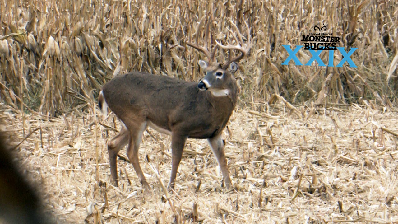 Don Kisky's Huge Iowa Whitetail | Monster Bucks 2021 - Monster Bucks ...