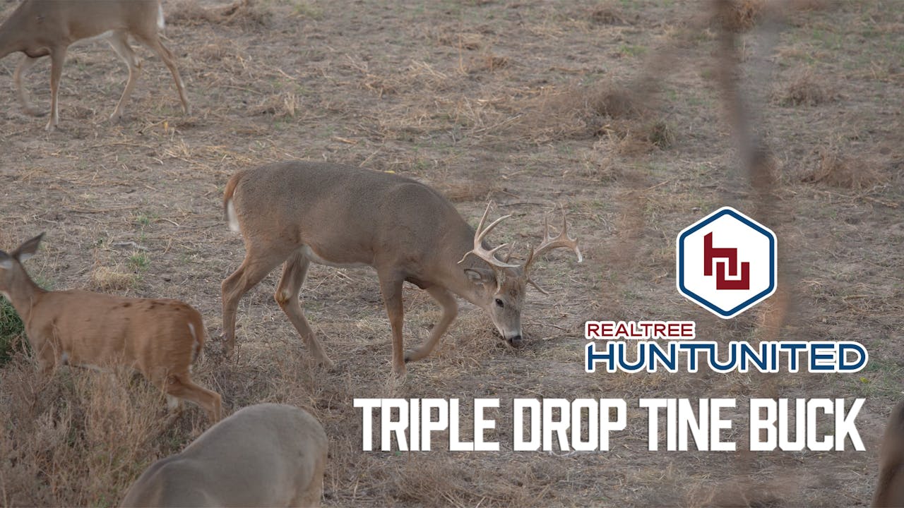Triple-Drop-Tine Buck in Kansas | Hunting Huge Pre-Rut Whitetails ...