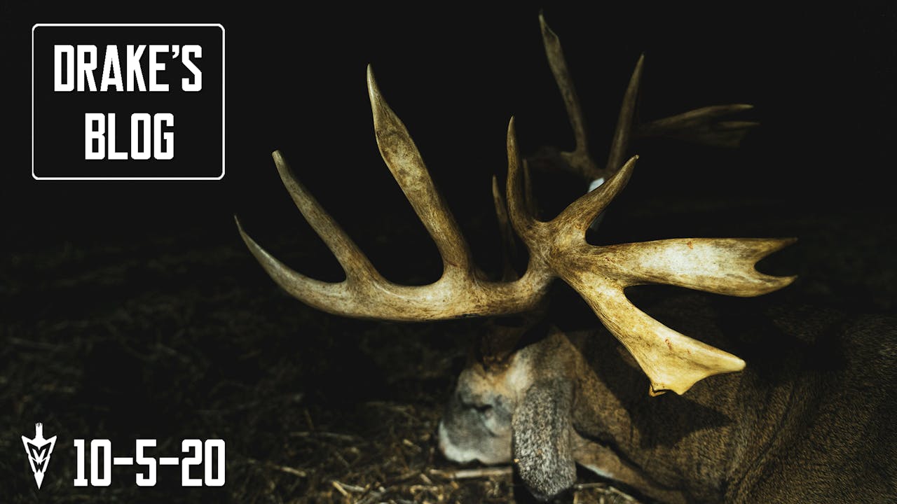 Drake's Blog: Opening Day of Deer Season in Iowa | Two Early Season ...